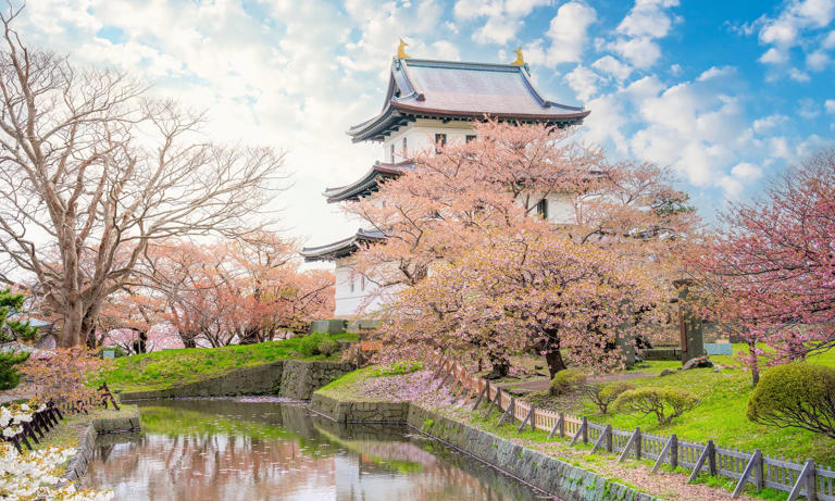 Why visiting one of Japan's most popular tourist sights could be even ...