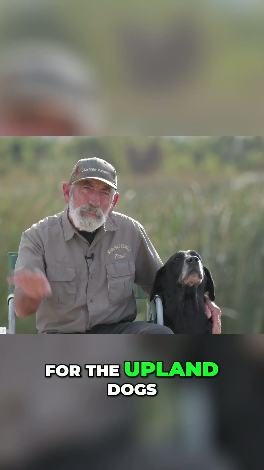 Essential hand signals every duck hunter must teach their dog