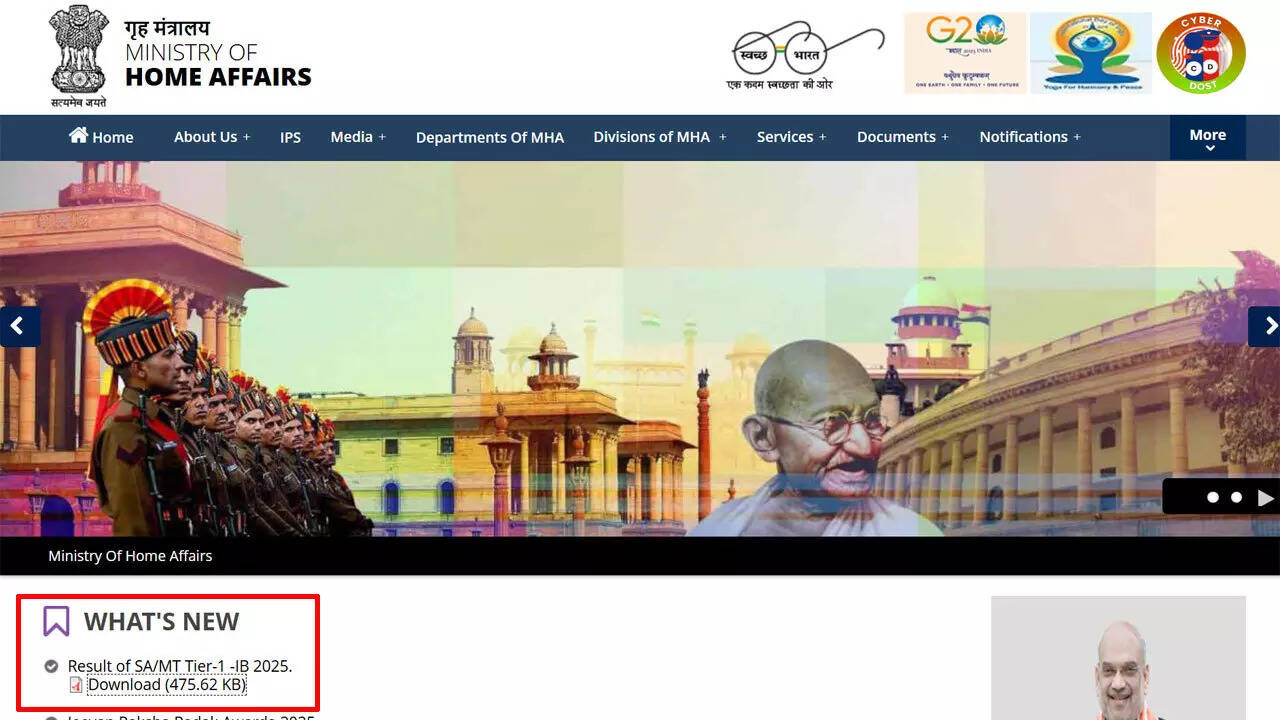IB SA MT exam 2025 tier I result out at mha.gov.in, check PDF of ...