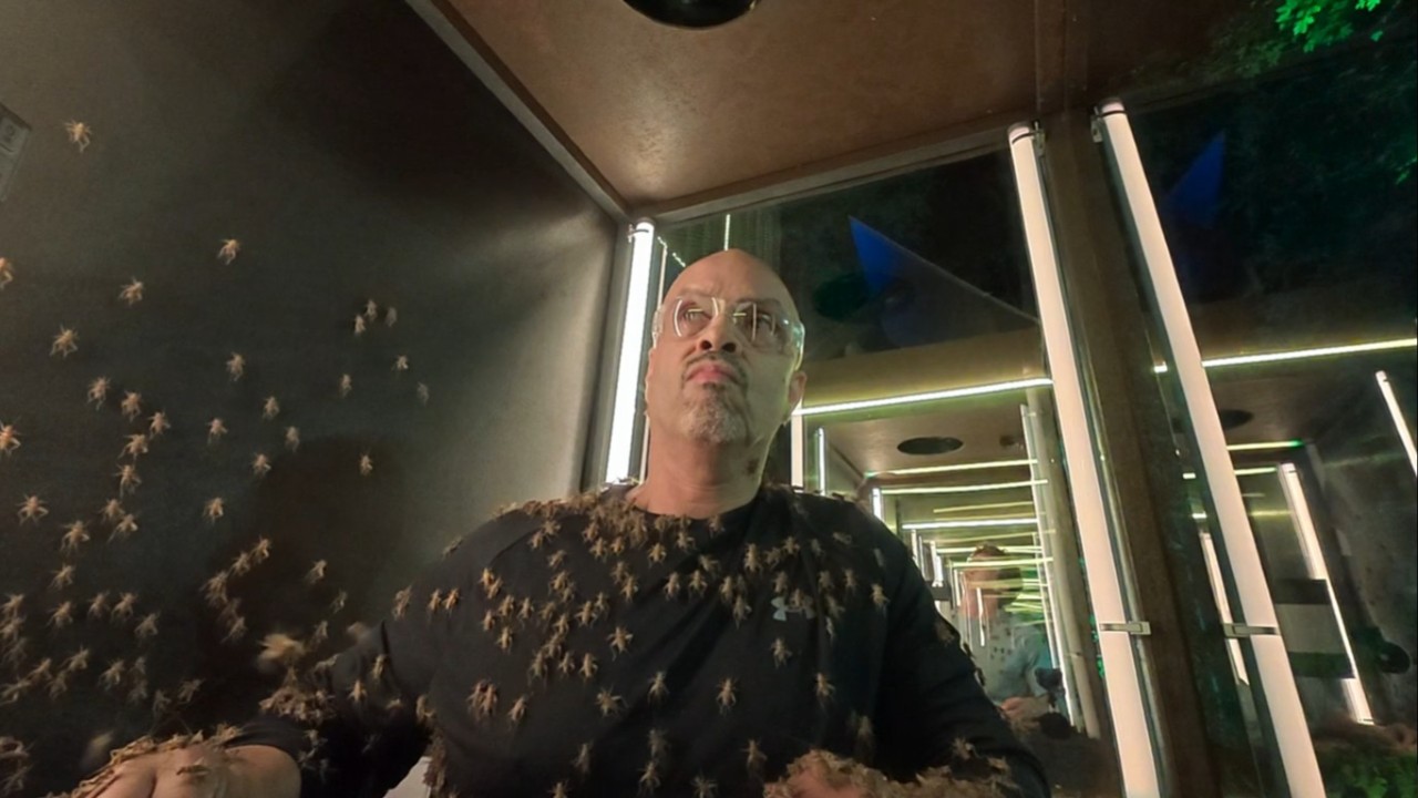 As an OG Fear Factor watcher, there are some things I loved about Fear ...