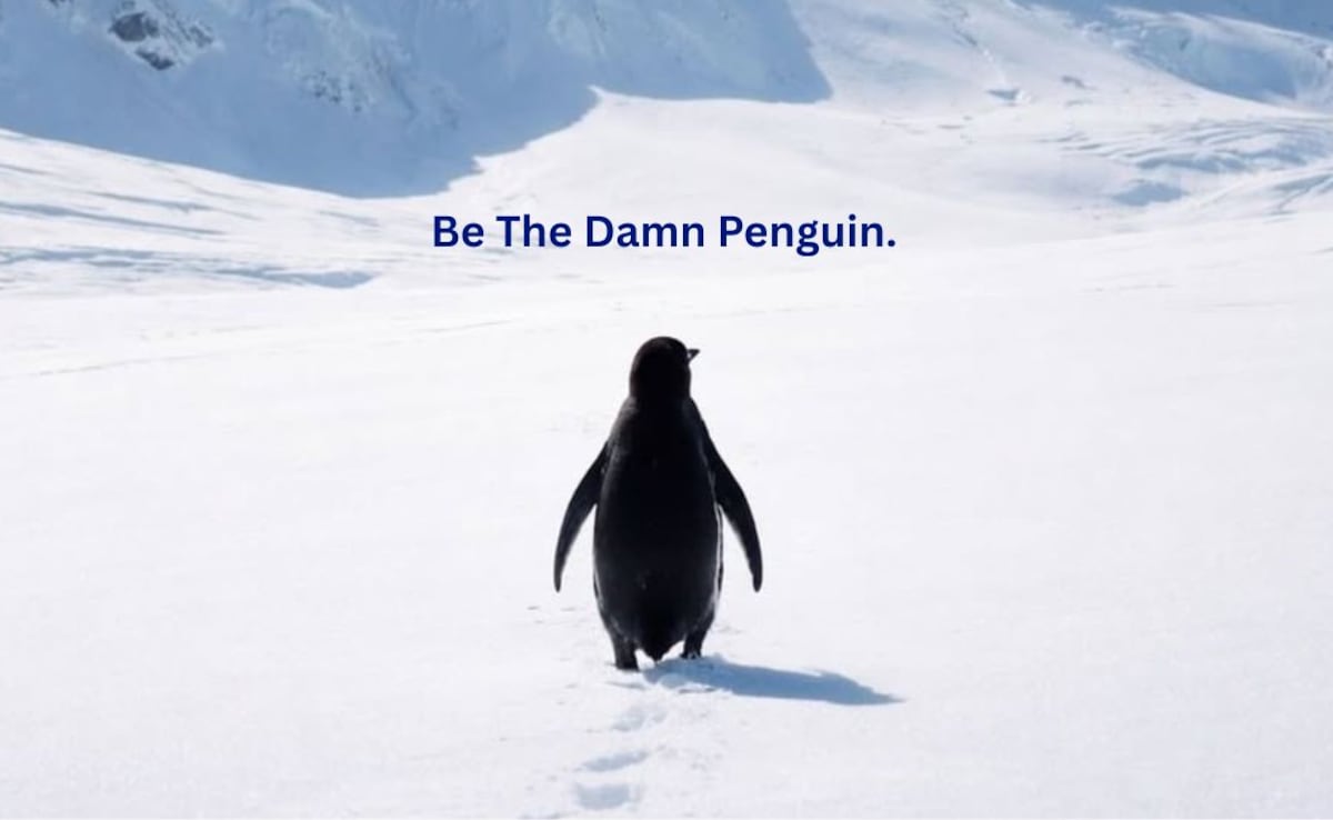 Viral: Video of lone nihilist penguin on his 'death march' sparks meme fest