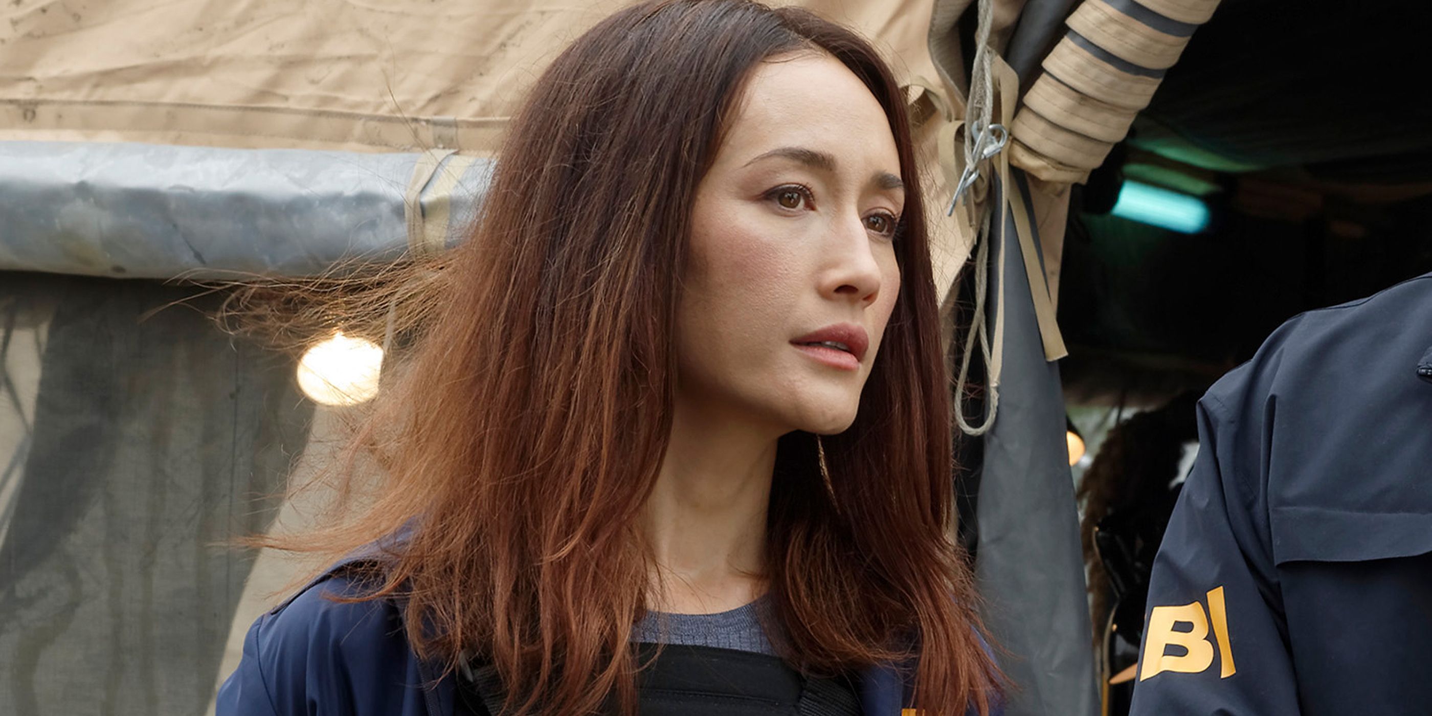 This 3-season thriller on Netflix with a Bosch universe star has ...