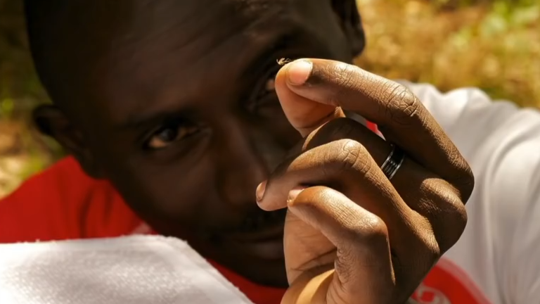 This tiny insect kills more people than any predator