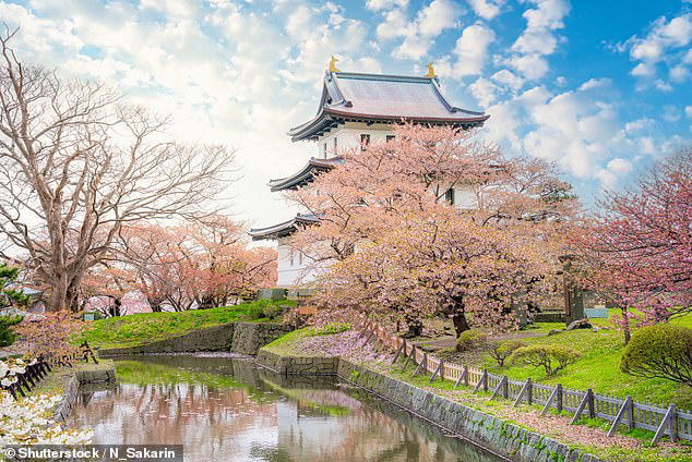 Why visiting one of Japan's most popular tourist sights could be even ...