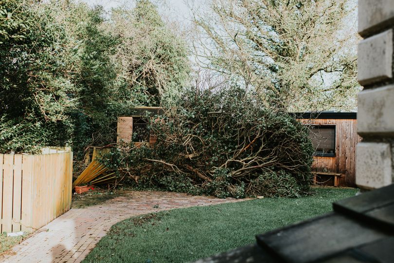 UK households urged to put bricks in gardens this week amid Storm Chandra