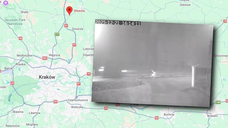 Ranna 85-latka leżała na ulicy, błagając o pomoc. Minęło ją kilkanaście ...