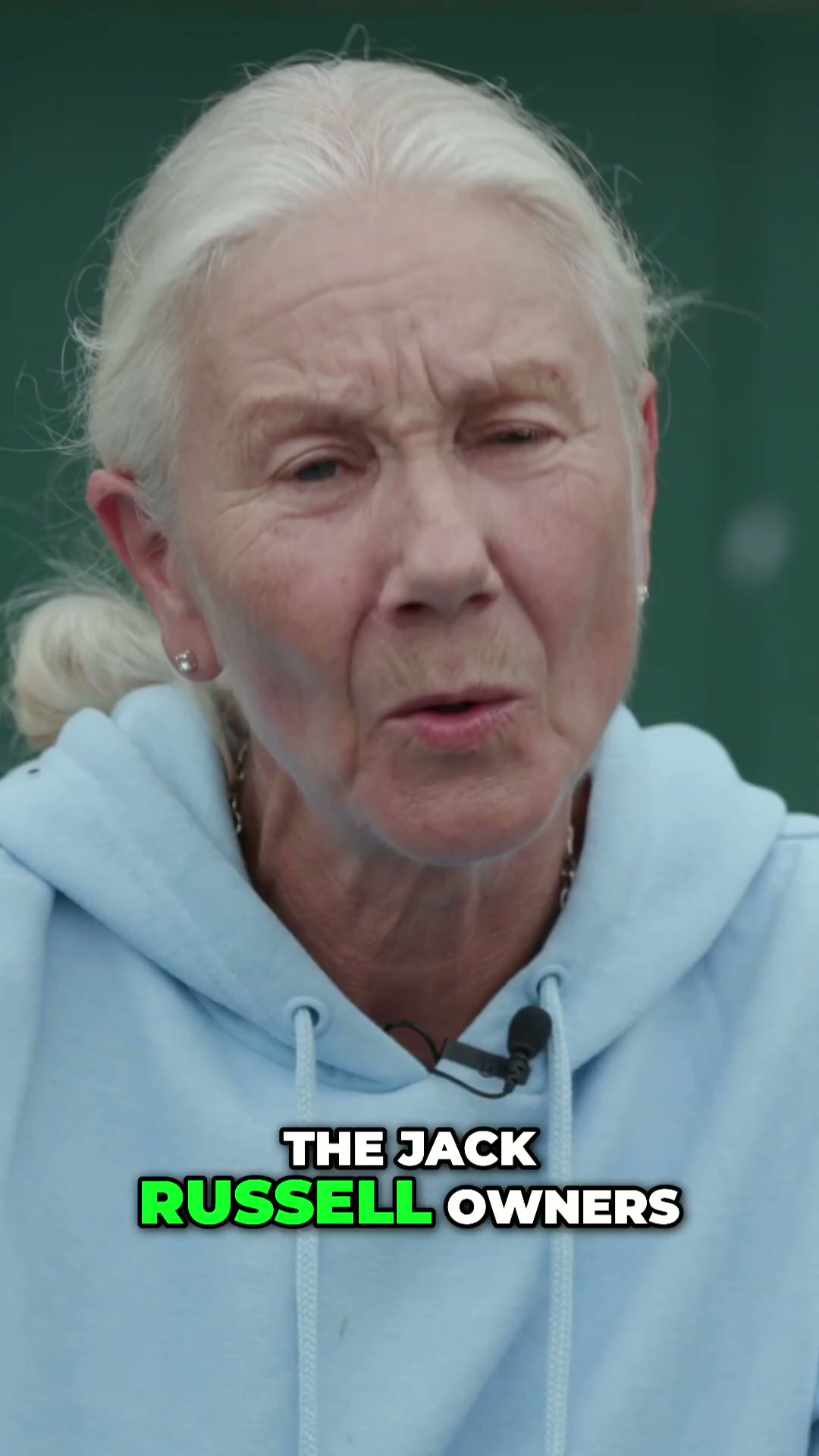 What's hiding in your Jack Russell's DNA?