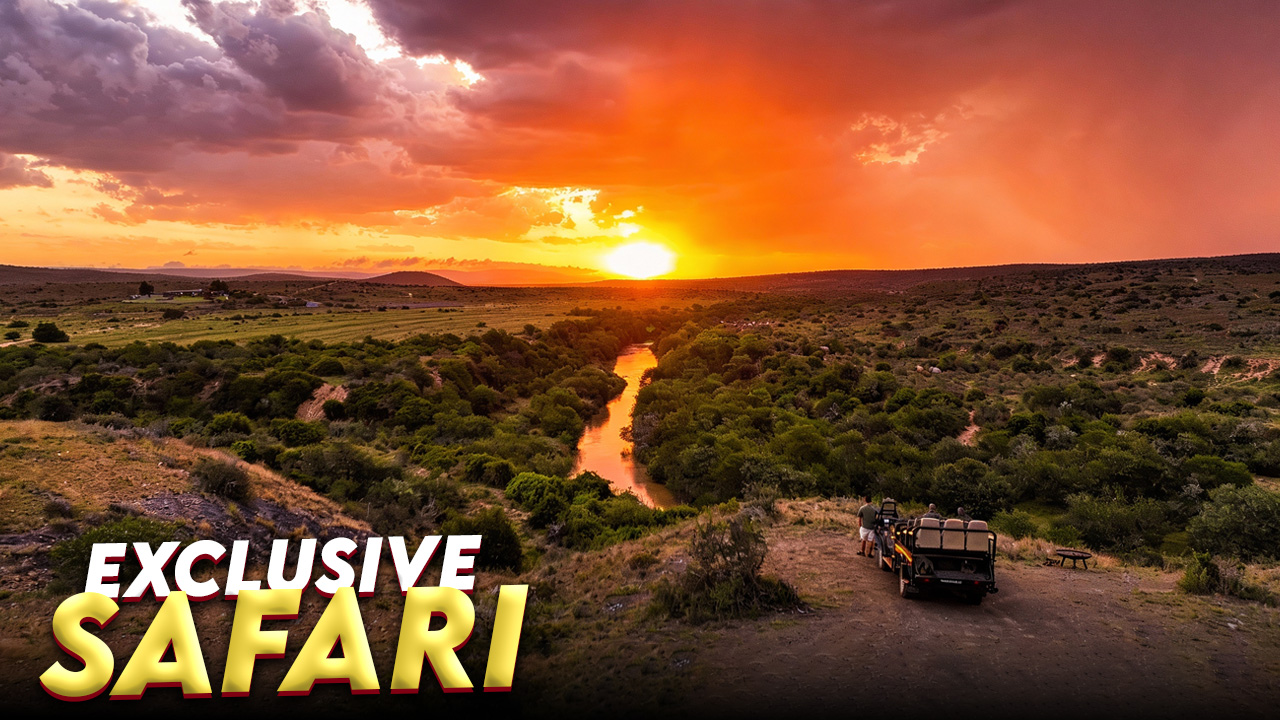 Exploring one of South Africa’s most exclusive safari experiences