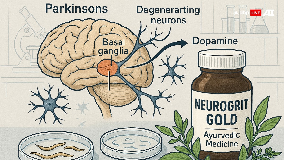 Hope for Parkinson's? Ayurvedic medicine Neurogrit Gold shows promising ...