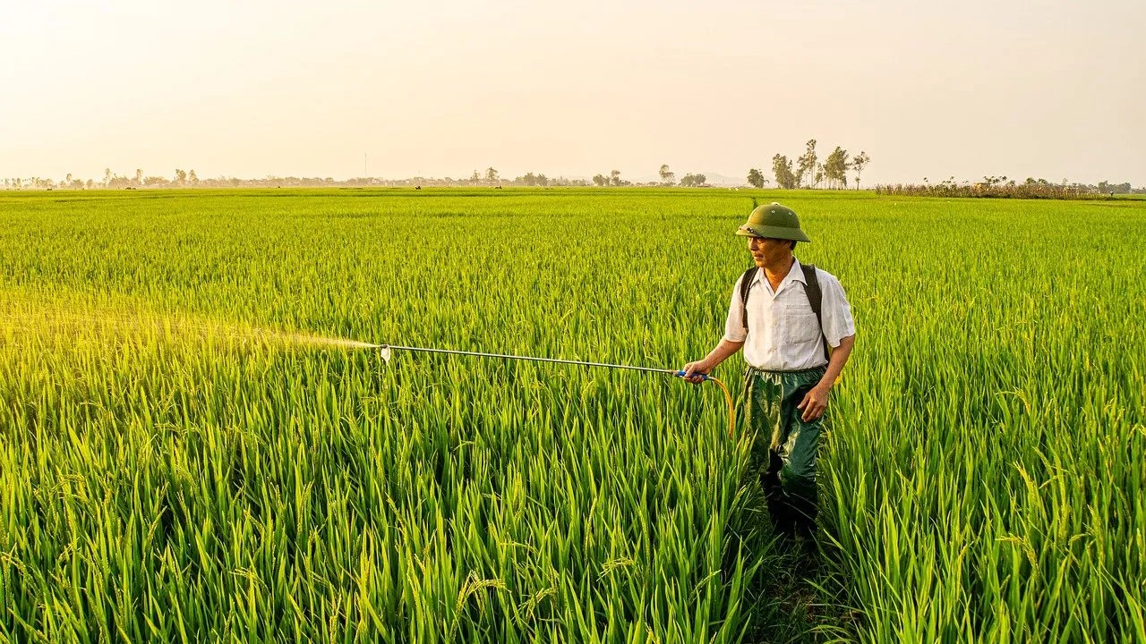 The organic illusion: Why "natural" labels fool even smart shoppers