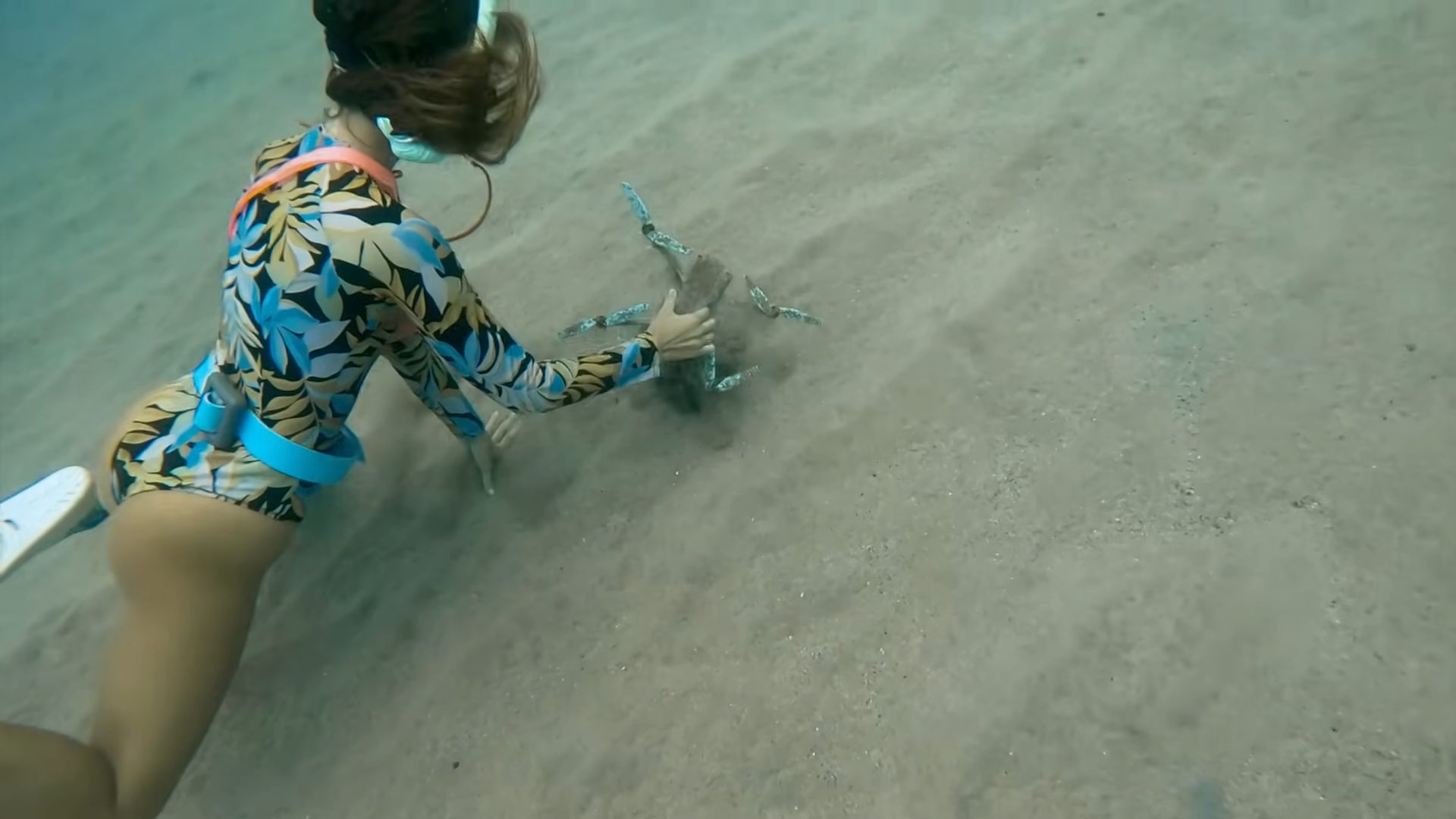 Trying to clean the ocean - found $1000 treasure instead