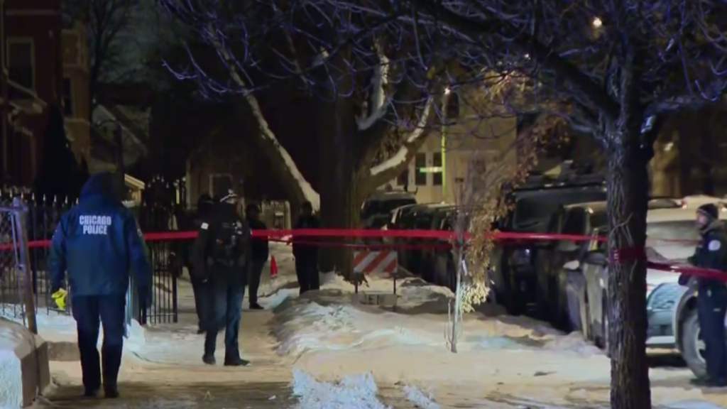 Concealed carry license holder opens fire during attempted armed ...