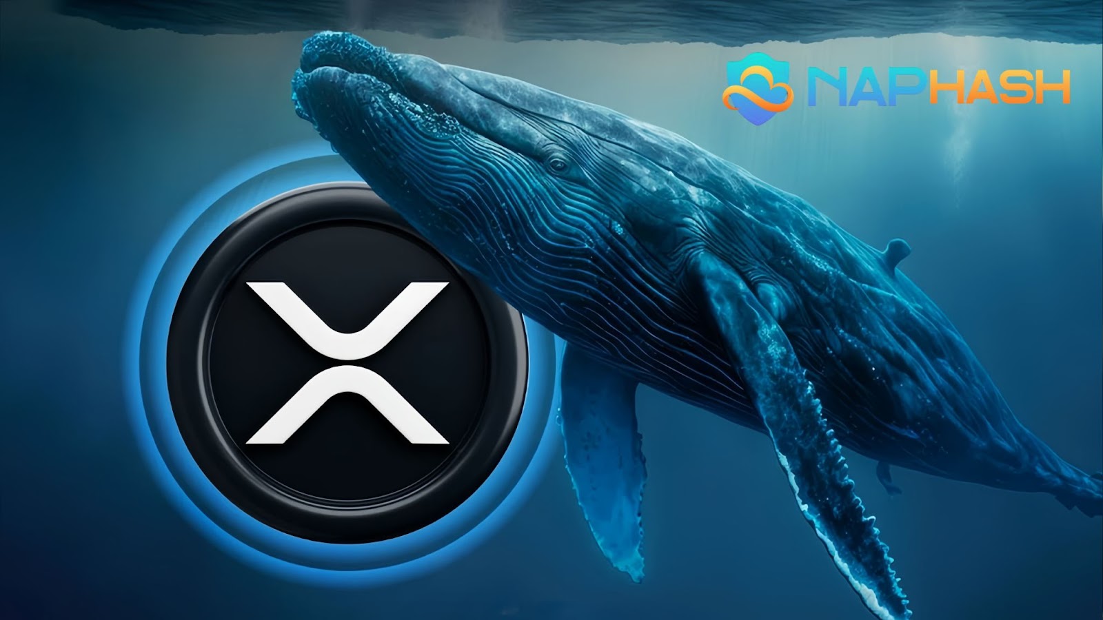 XRP whales move over $1 billion in tokenized assets into NAP hash cloud ...