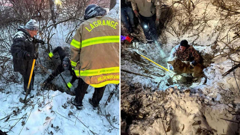 Dog rescued from culvert during winter storm in Dutchess County