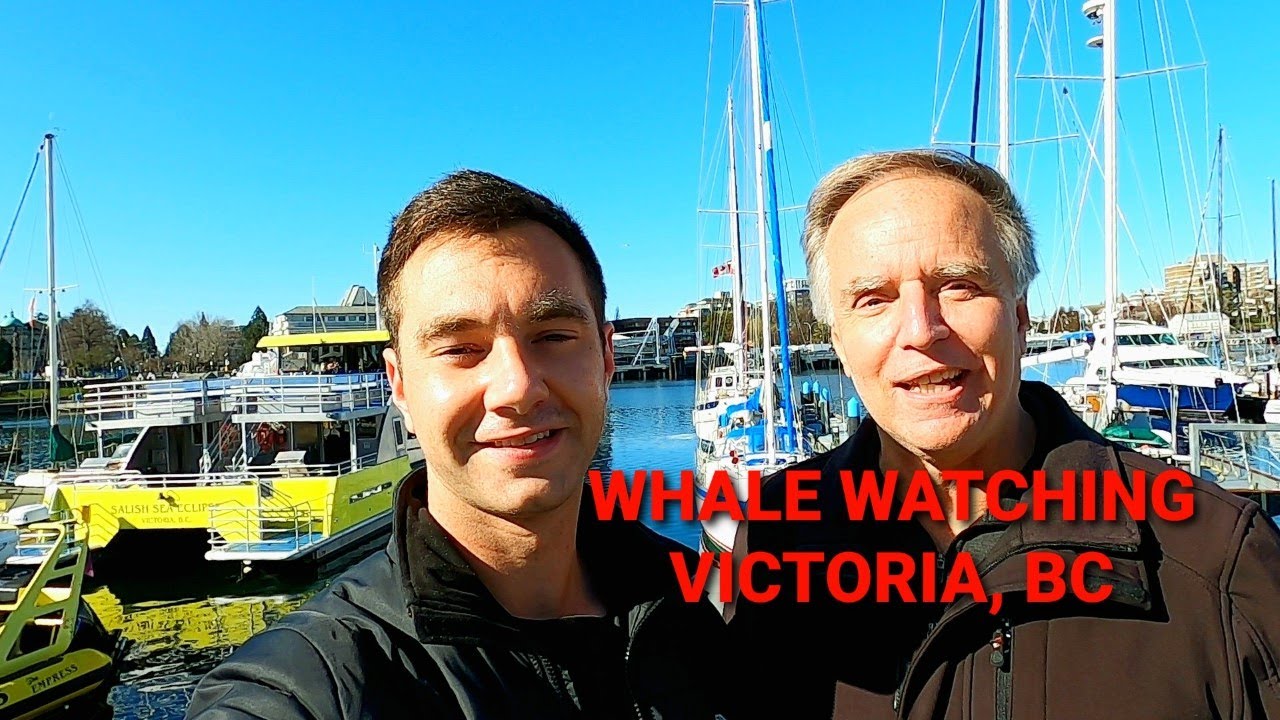Whale watching & pastry adventures in Victoria, BC | Prince of Whales ...