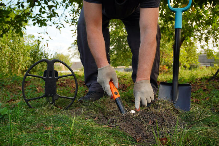 If you find these things in your garden, they’re not legally yours to keep