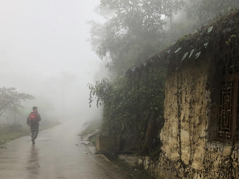 Oddball flower challenges long-held rule about how new plant species evolve