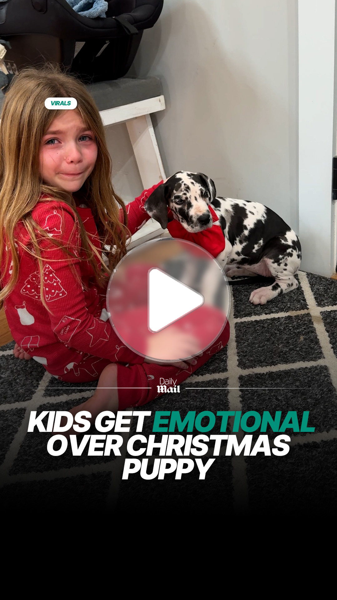Children become emotional after receiving puppy at Christmas