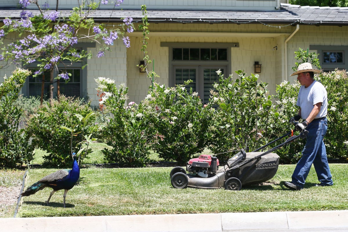 Nearly half of homes on the market have an HOA cost