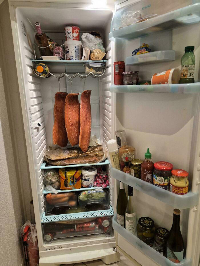 37 people found something so horrifying in a fridge, they had to show ...