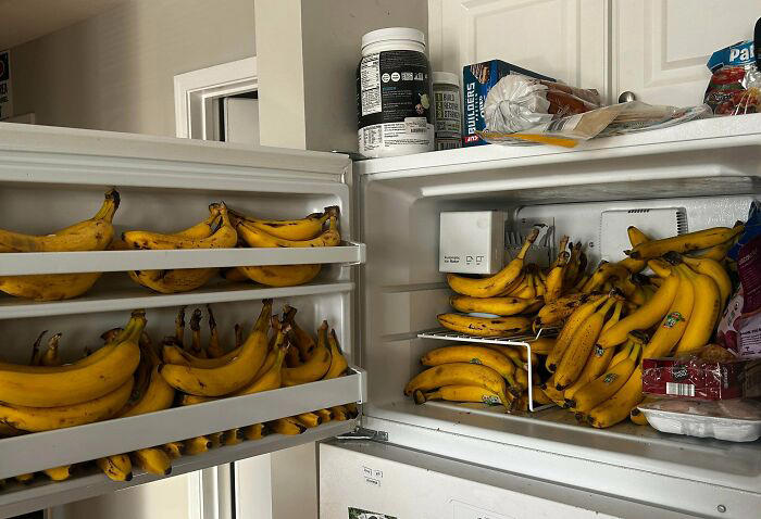 37 people found something so horrifying in a fridge, they had to show ...