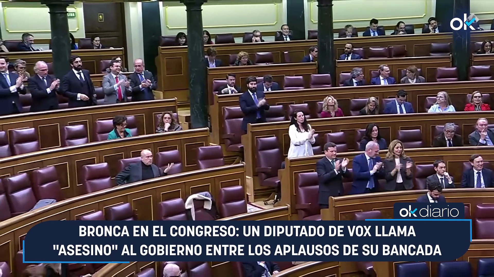 Bronca en el Congreso: un diputado de Vox llama "asesino" al Gobierno ...