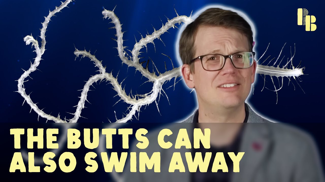 This animal has one mouth and hundreds of butts