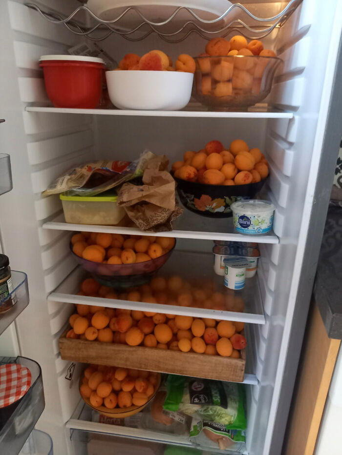 37 people found something so horrifying in a fridge, they had to show ...