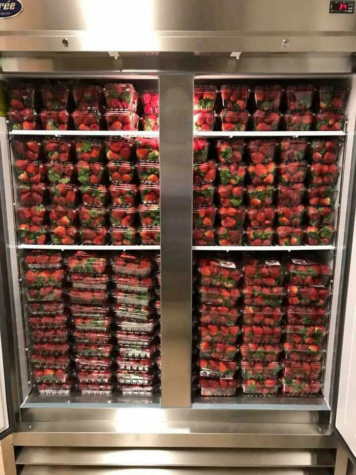 37 people found something so horrifying in a fridge, they had to show ...