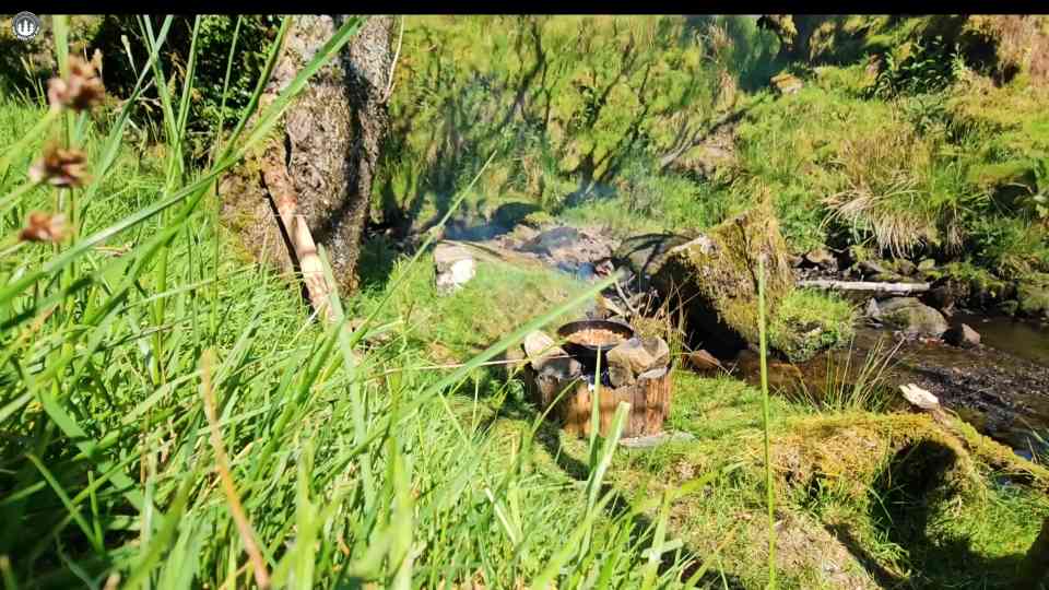 We have our own KFC in the forest