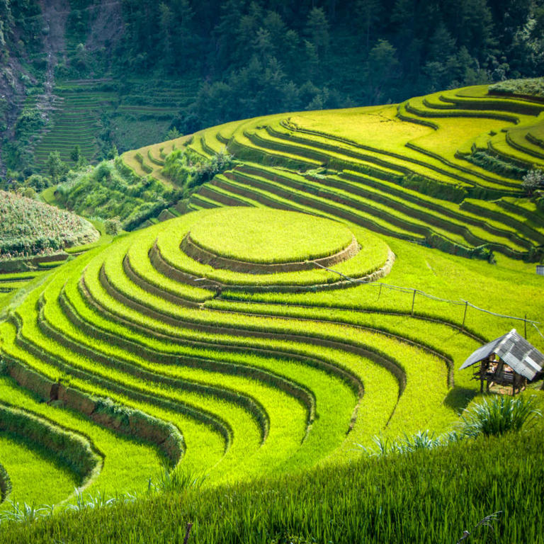The top 3 emerging Asian destinations for 2026 revealed in new report