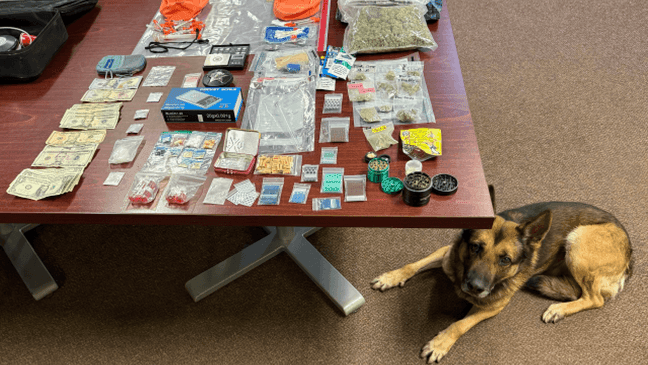 Cary man arrested in New Bern traffic stop after K-9 finds large stash ...