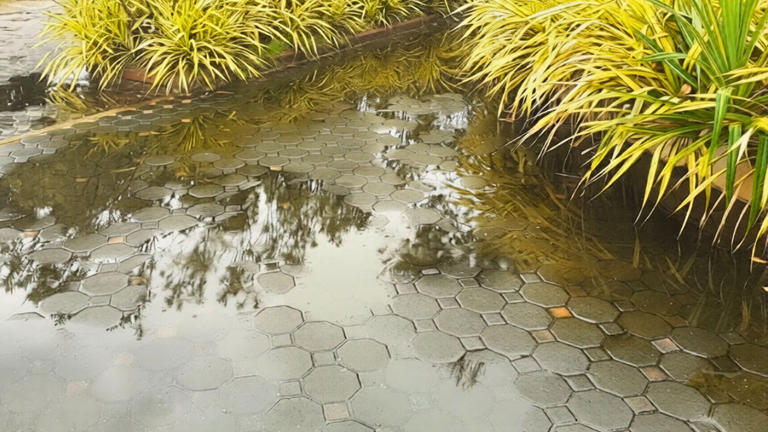 The driveway drainage issue that ruins landscaping fast