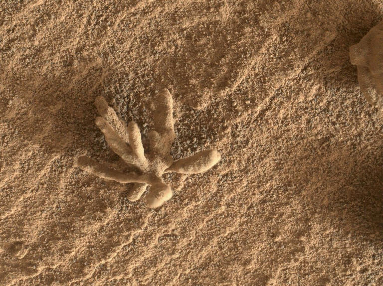NASA’s Curiosity rover just found something on Mars that looks exactly ...
