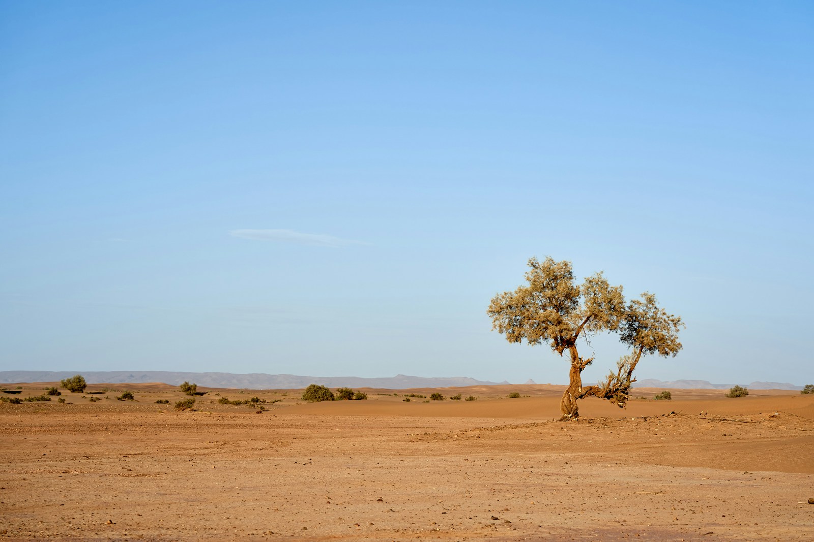 These are the driest states in America