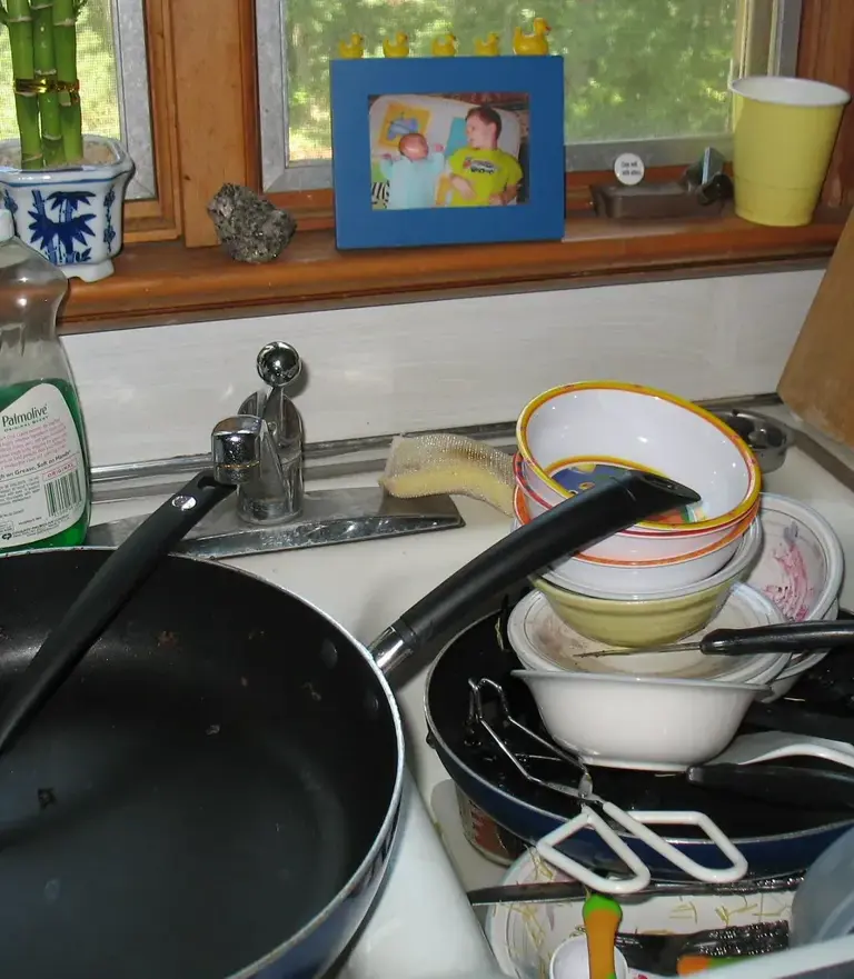 Your dishwasher myth: Why your plates aren't actually clean