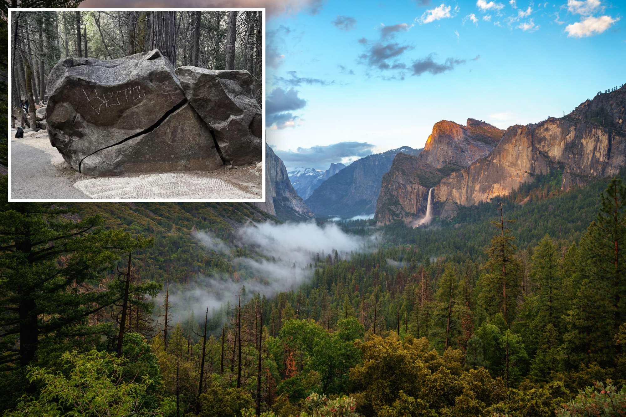 Disgraceful vandals cover Yosemite National Park in graffiti: 'What's ...
