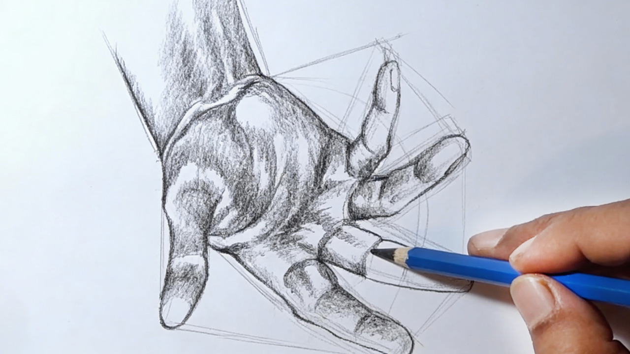 Realistic hand drawing compilation with shading and detail practice