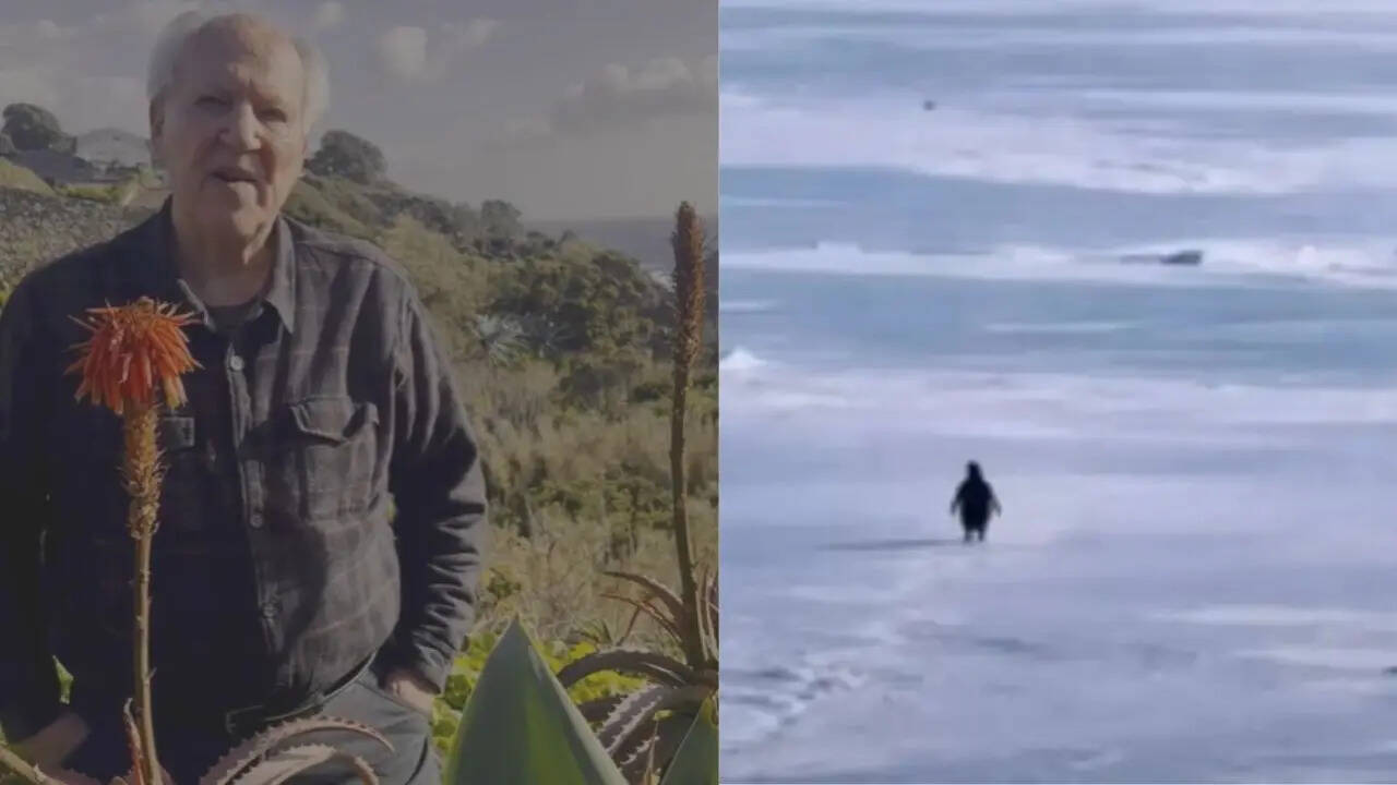 Heading towards his death: Werner Herzog reveals heartbreaking story ...