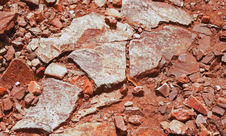 Paleontologists smashed open red rocks and found perfectly preserved ...