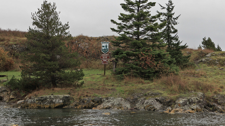 Washington's breathtaking Puget Sound island state park where only ...