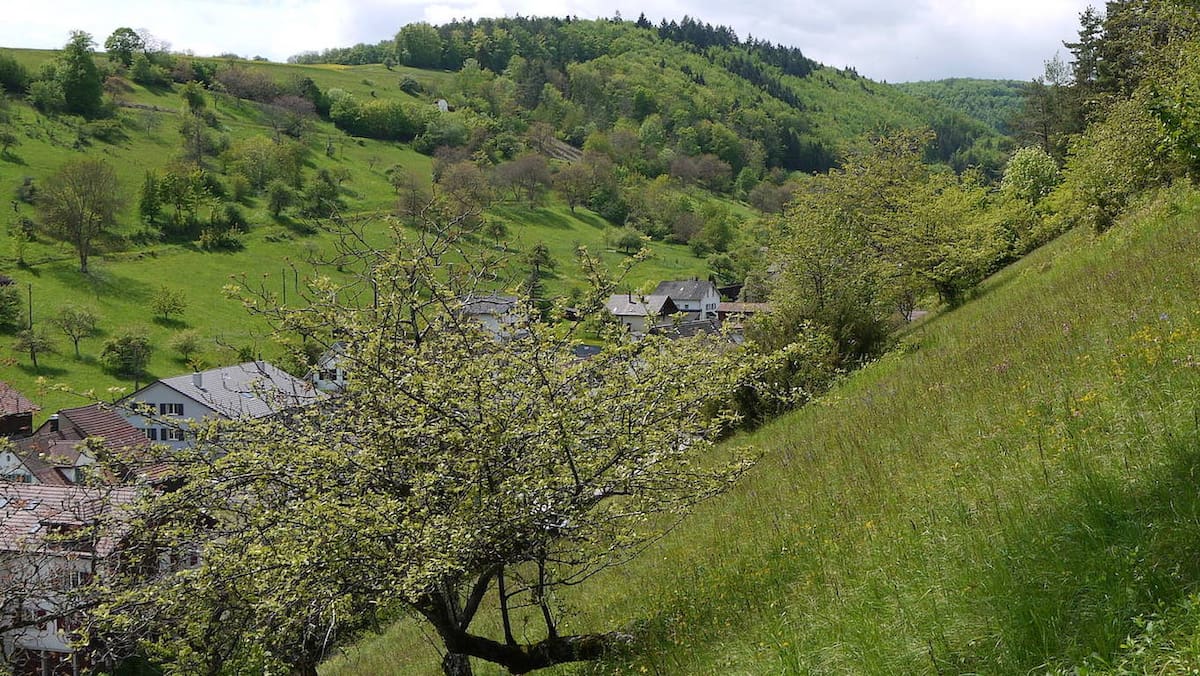 Zonen-Zoff in Schaffhausen: Stadt muss wegen Bund seine Landbesitzer ...