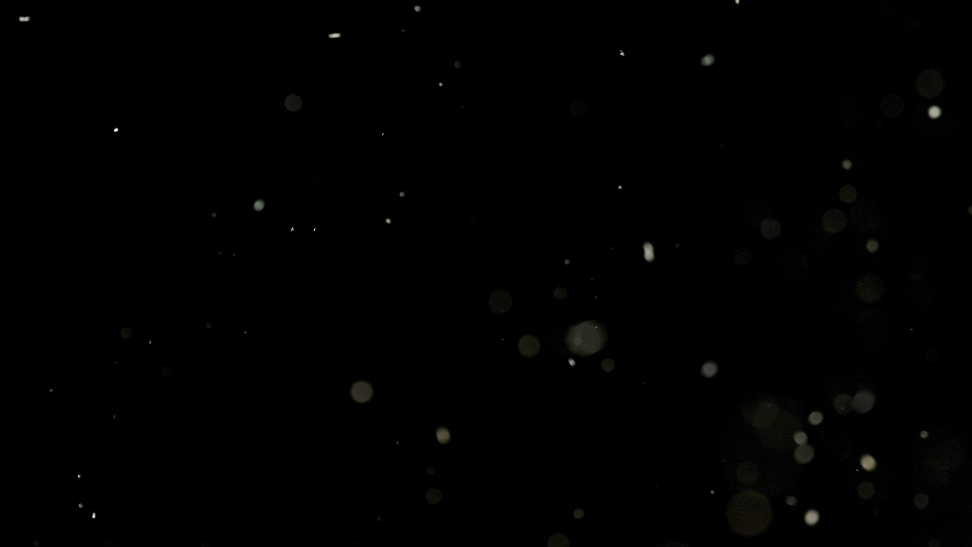 Synchronized microscopic particles and their fluid dynamics