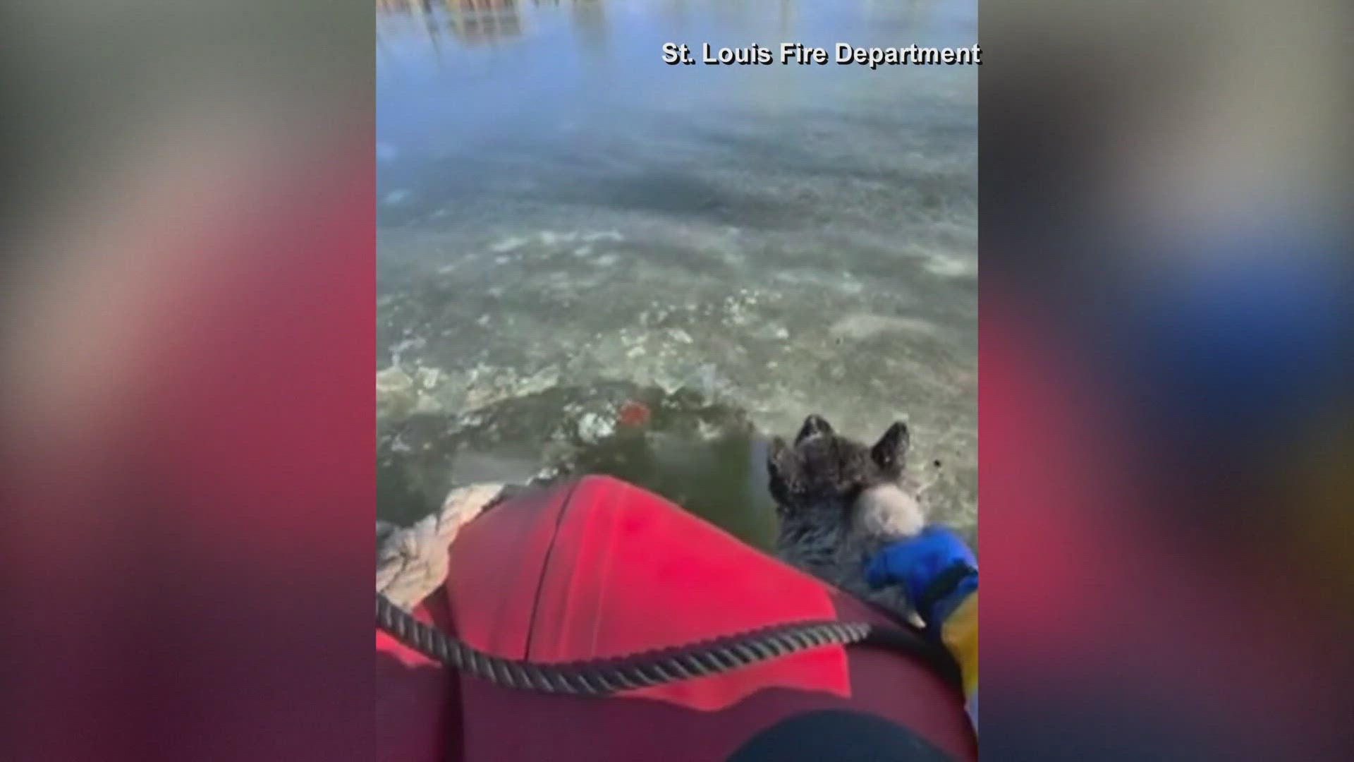 Morning rush: Arizona kidnapping police chase, frozen pond dog rescue ...