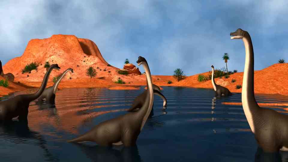 How gravity shapes evolution more than we expect