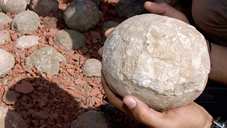 Crystal-filled dinosaur egg reveals long-lost species from the Late ...