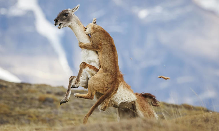 The winners of Travel Photographer of the Year 2025 revealed in ...