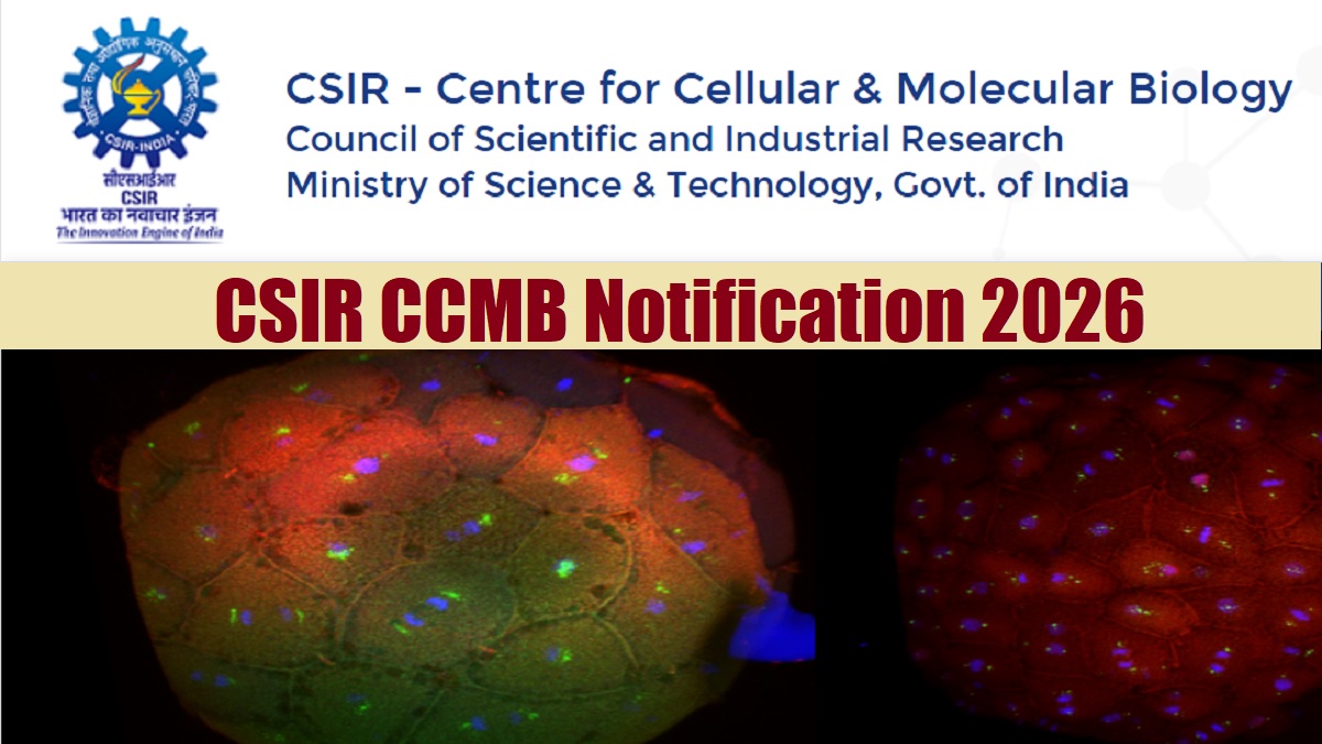 CSIR CCMB recruitment 2026: Notification out for 80 technician and ...