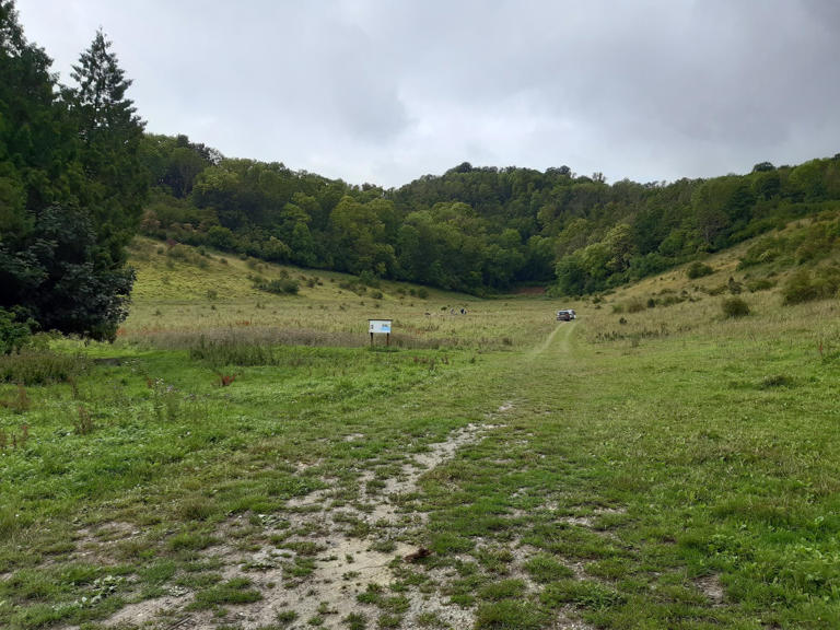 Public inquiry planned to determine public right of way in West Sussex ...