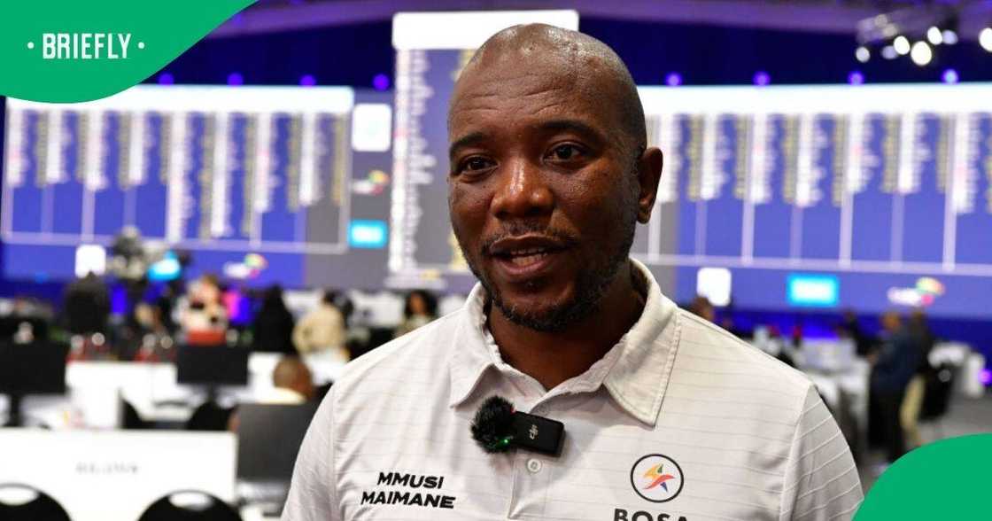 Mmusi Maimane calls for permanent police minister amid South Africa's ...